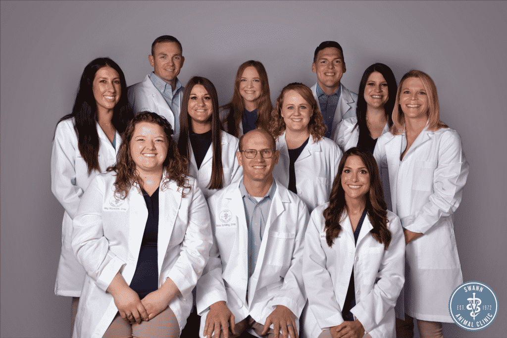 Case Study | Swann Animal Clinic excels with Whiskercloud and Vetstoria