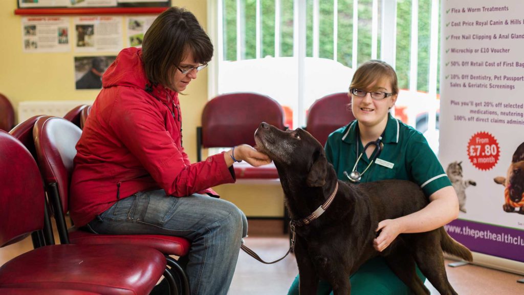 Case Study | Rhyd Broughton Veterinary Group