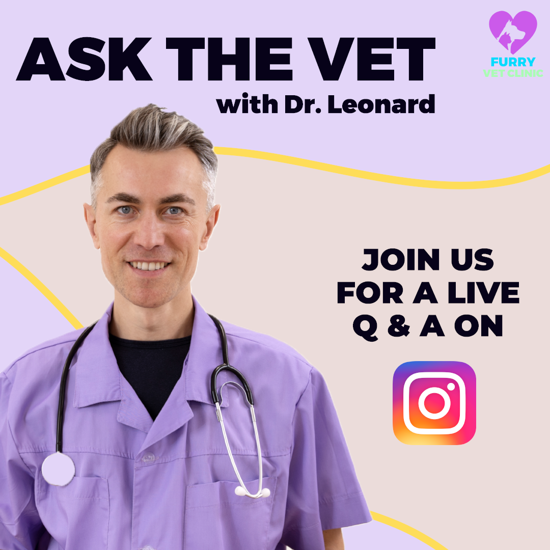 Veterinary marketing using Instagram
