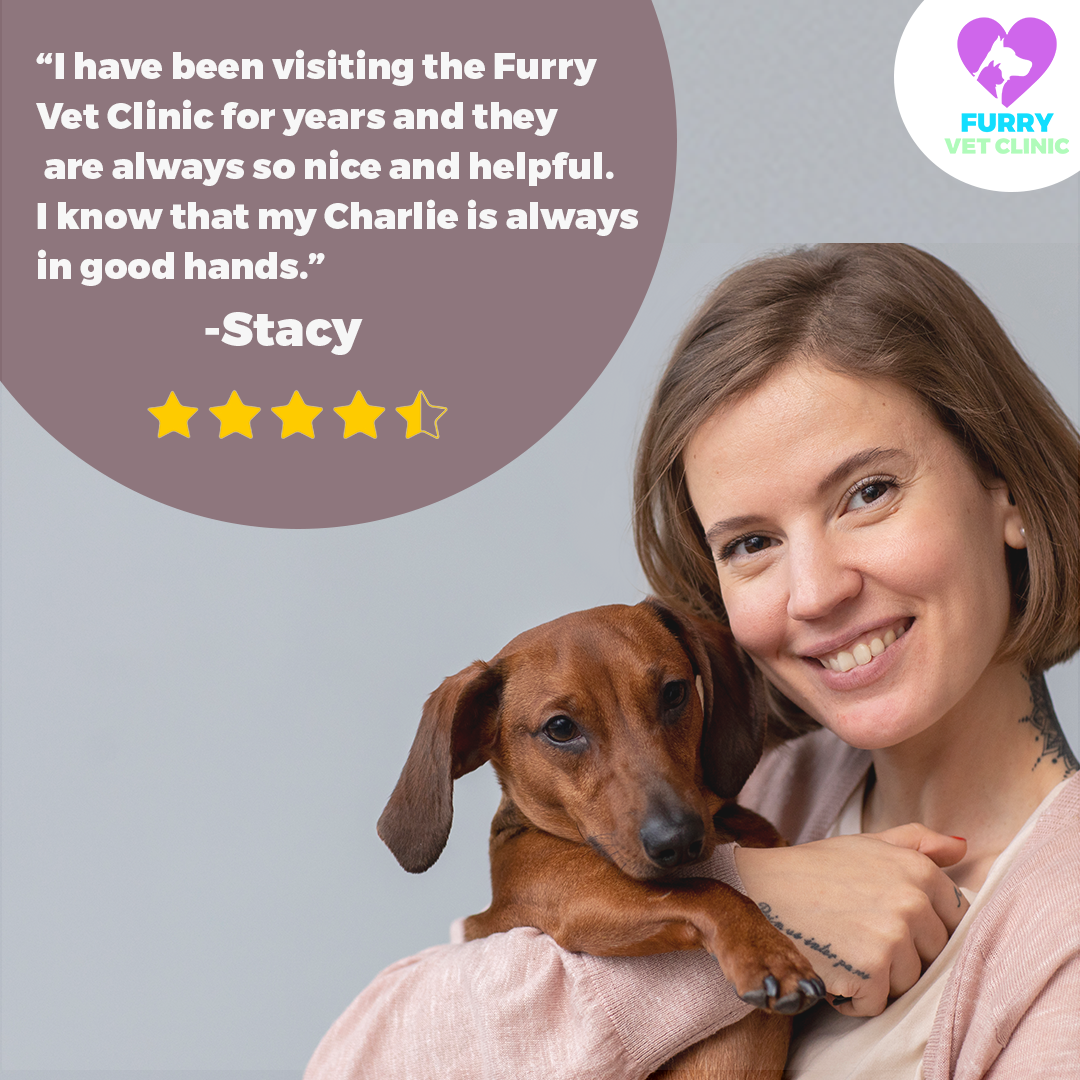 Veterinary marketing using Instagram