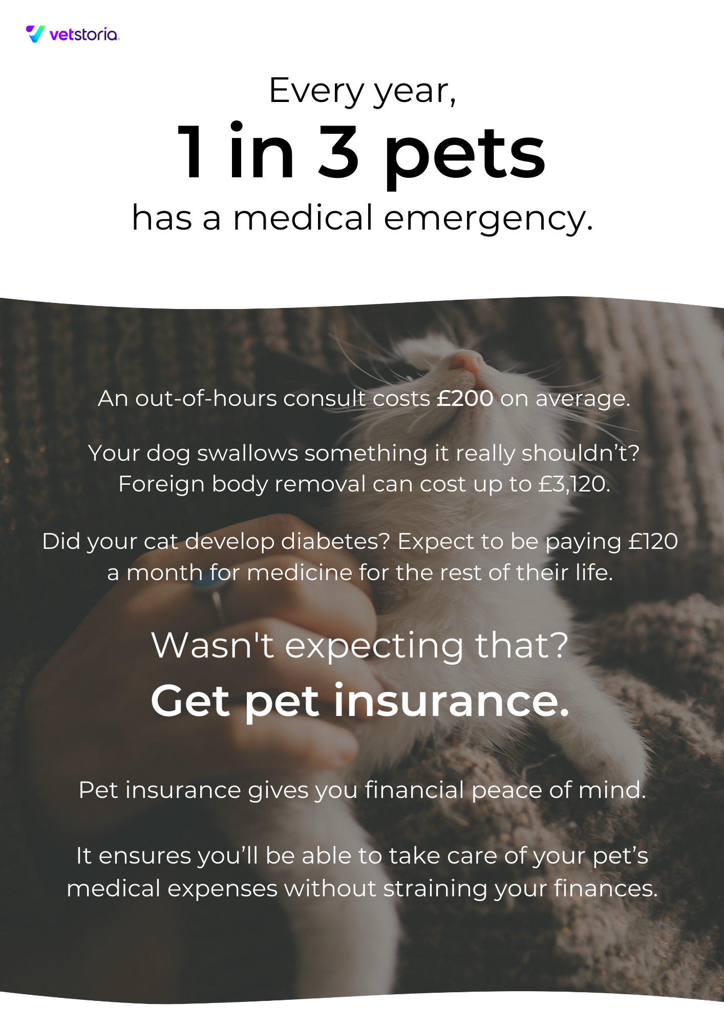 Promote pet insurance using Vetstoria's Content Packs