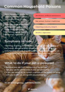 How to do veterinary marketing during pet poison awareness month