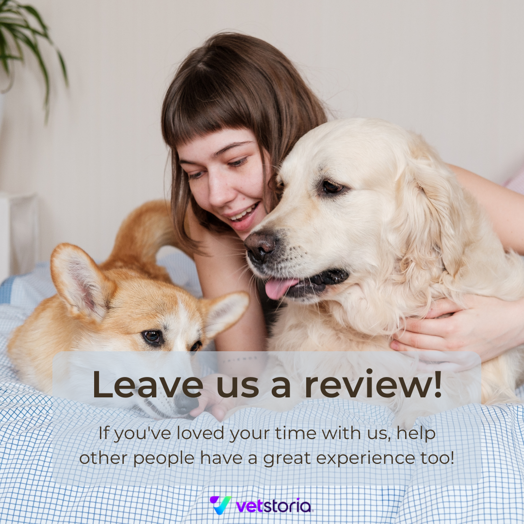 Veterinary Marketing Content Pack Calendar