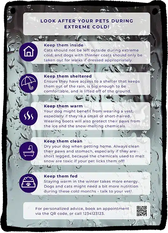 Vetstoria Content Packs