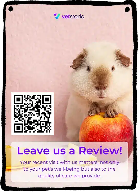 Leave a Review - Vetstoria Content Packs