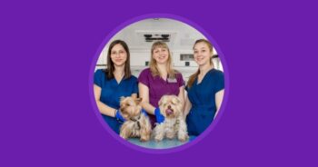 More Veterinary Technology, Less Burnout for Your Team